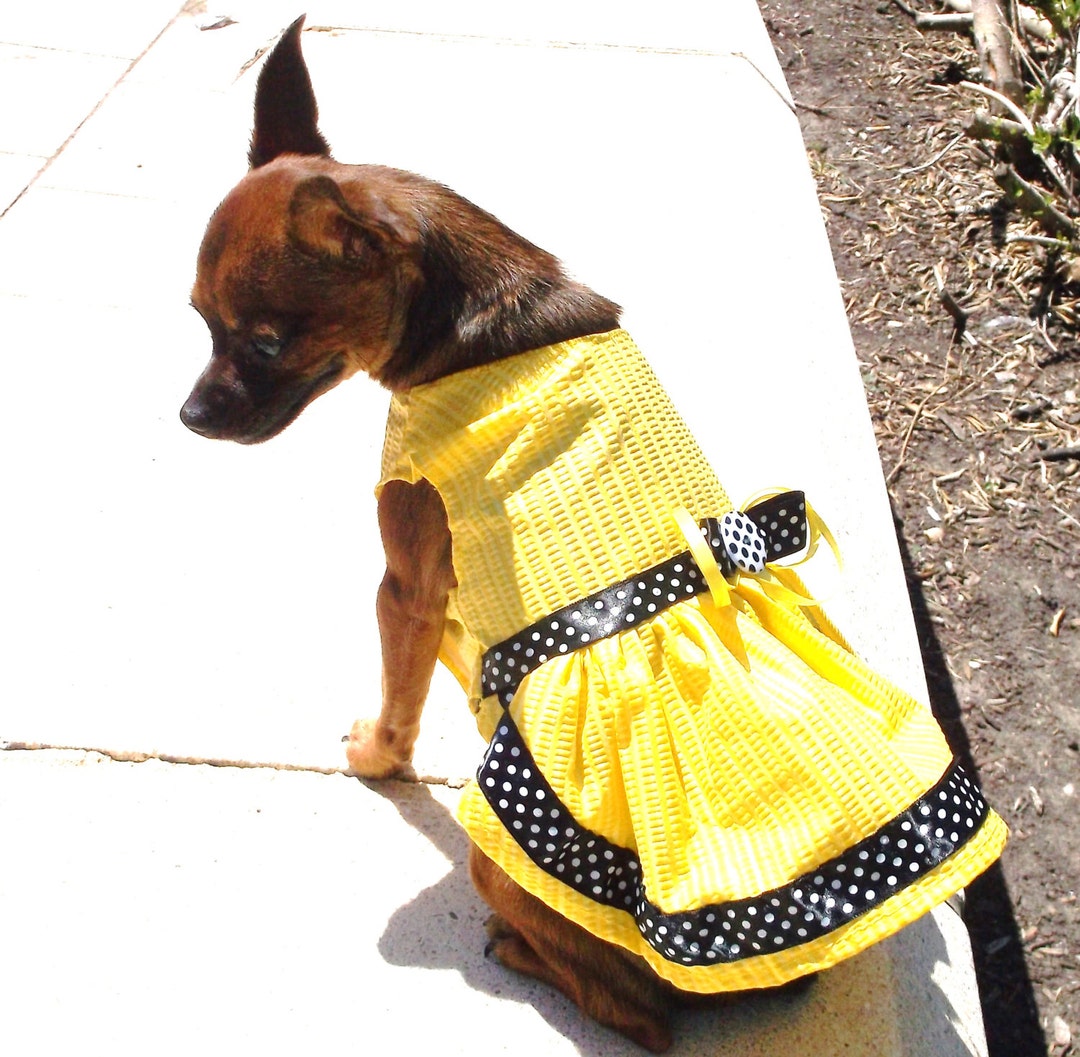 Dog Dress, Pet Dress, Yellow Dog Dress, Yellow Pet Dress, Dog Clothes ...