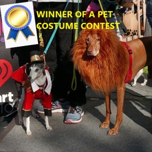 Dog Costume, Pet Costumes, Dog Halloween, Ring Master Costume, Circus ...