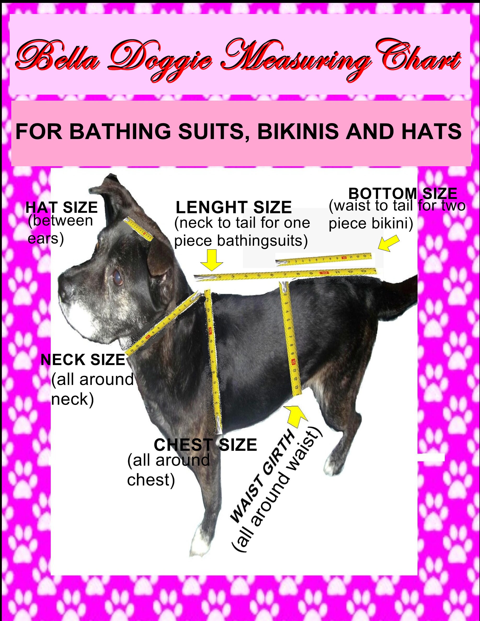 DOG BATHING SUIT Dog Aqua Bathing Suit Dog swim wear Summer | Etsy