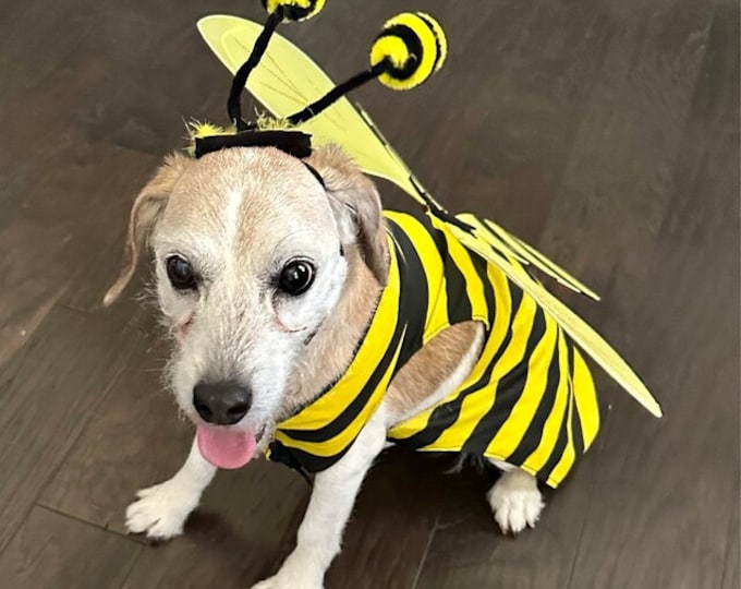 Bumble Bee Dog Snood Knit Crochet Dog Hat Halloween Dog Costume Ear ...