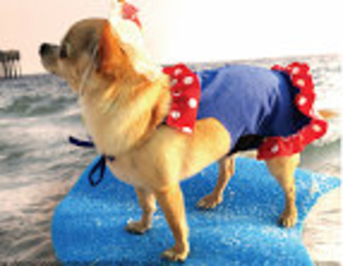 Dog Bathing Suit, Red N Blue 3 Piece Set, Bikini-towel-hat Set, Dog ...