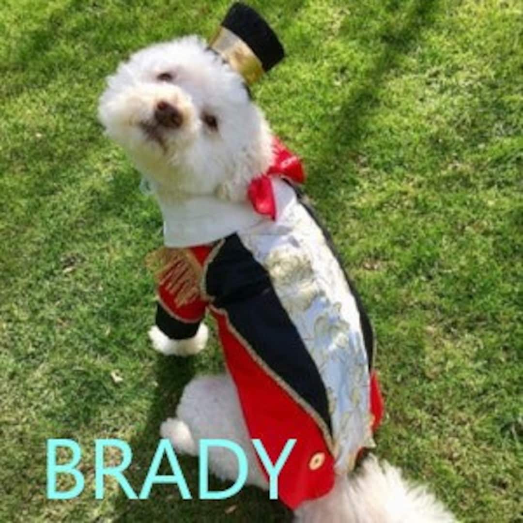 Dog Costume, Pet Costumes, Dog Halloween, Ring Master Costume, Circus ...