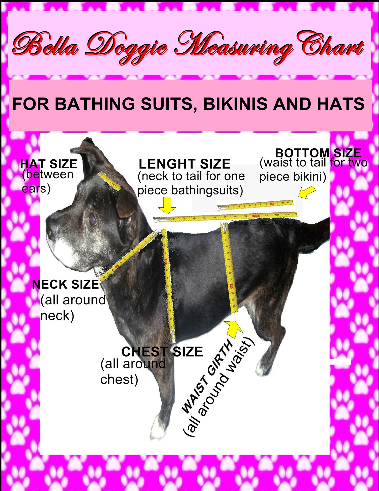DOG BIKINI, Dog Sunny Tangerine Bikini, Dog Swimm Wear, Summer Beach ...
