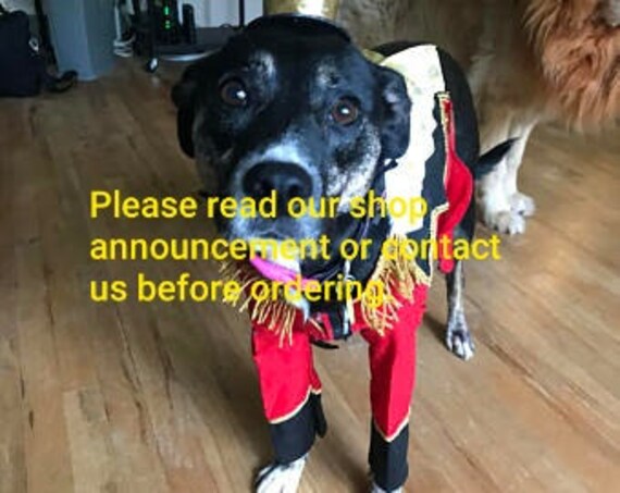Dog costume Pet costumes Dog halloween Ring master costume | Etsy