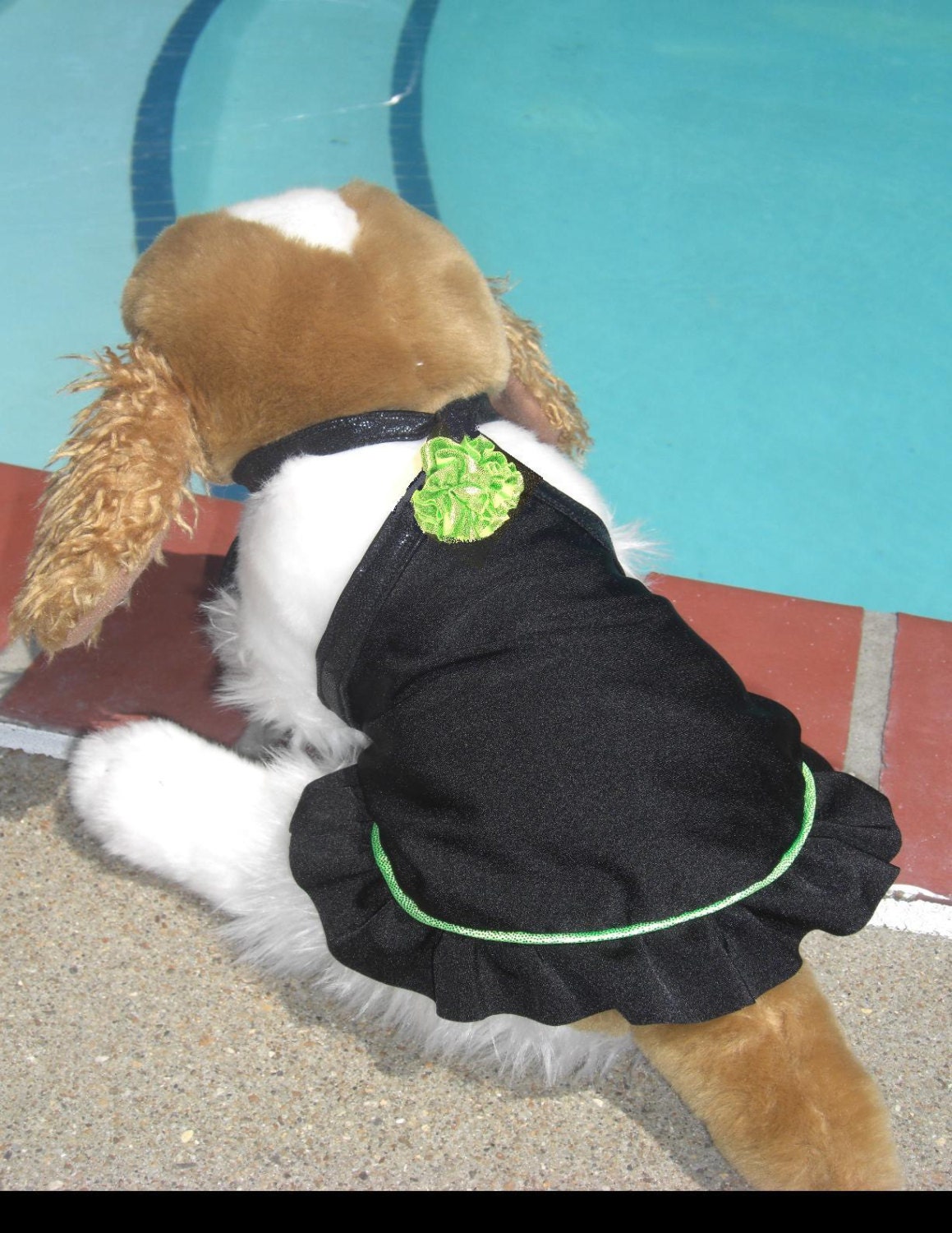 Dog Bathing Suit Rosett 3 Piece Set Bikini-towel-hat Set | Etsy