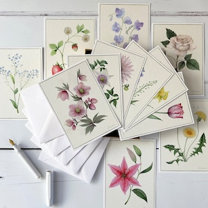 Botanical Note Cards Pack Floral Cards Multipack Gardeners Gift ...