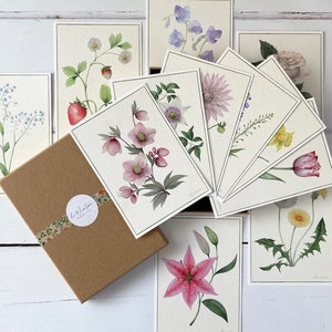 Botanical Note Cards Pack Floral Cards Multipack Gardeners Gift ...