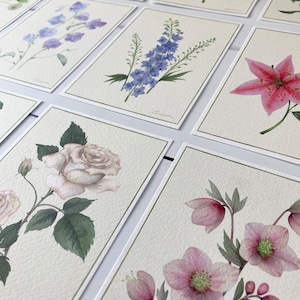 Botanical Note Cards Pack Floral Cards Multipack Gardeners Gift ...