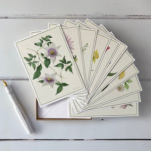Botanical Note Cards Pack Floral Cards Multipack Gardeners Gift ...