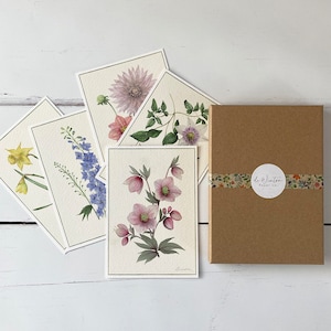 Botanical Note Cards Pack Floral Cards Multipack Gardeners Gift ...