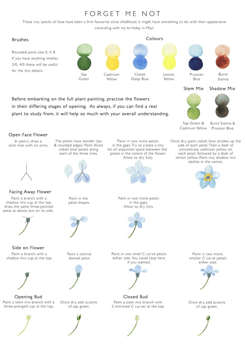 Watercolor Forget Me Not Painting Guide (PDF Download) - Etsy