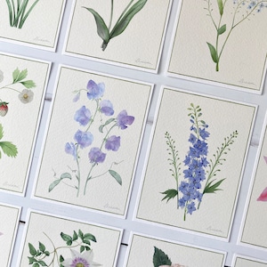 Botanical Note Cards Pack Floral Cards Multipack Gardeners Gift ...