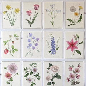 Botanical Note Cards Pack Floral Cards Multipack Gardeners Gift ...