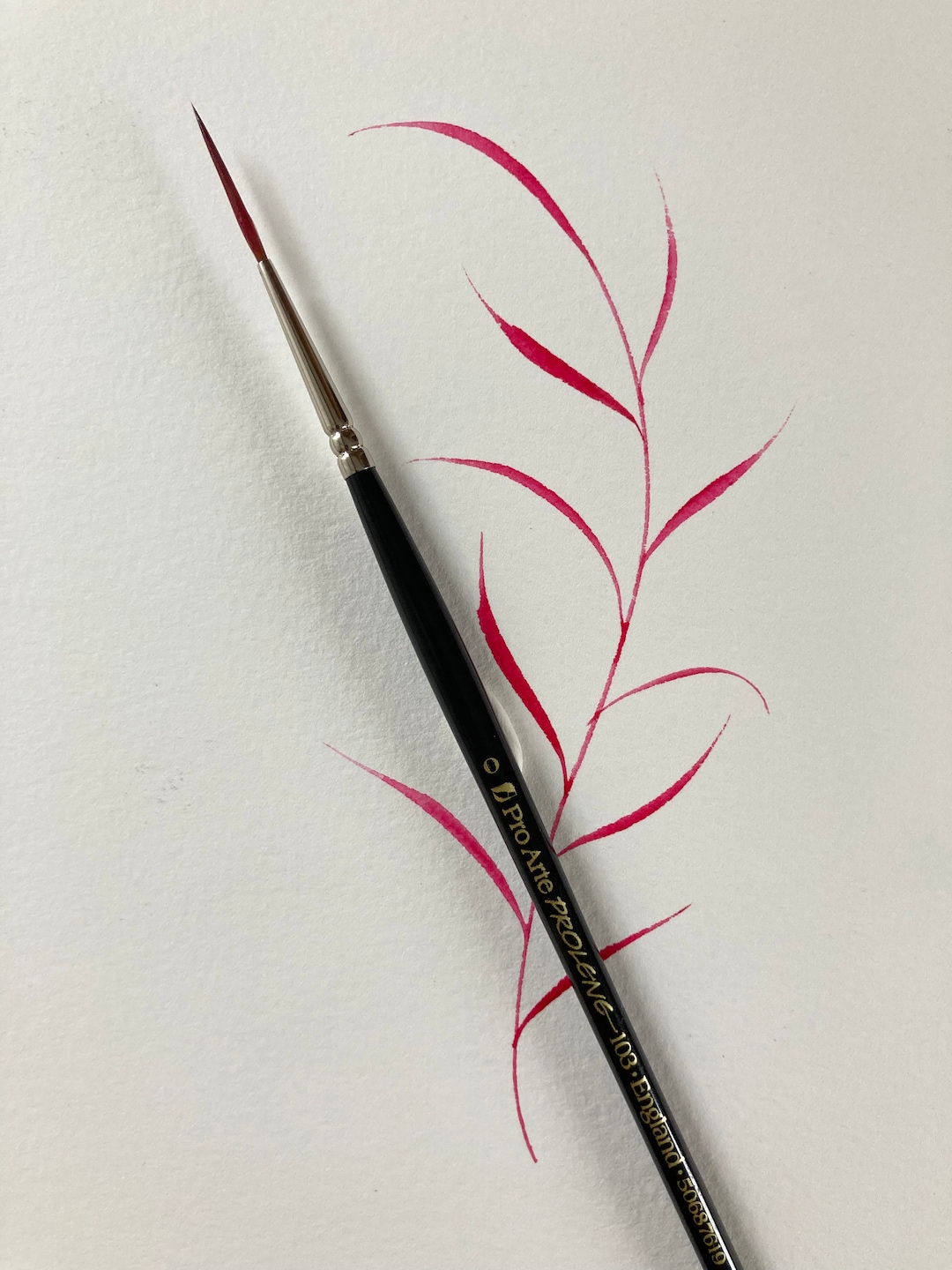Pro Arte Prolene Rigger Brush: Fine Line Botanical Painting, Size 0 - Etsy