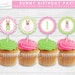 Bunny Rabbit Girl Theme SMALL Birthday Party Package Pink & - Etsy