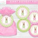 Bunny Rabbit Girl Theme SMALL Birthday Party Package Pink & - Etsy