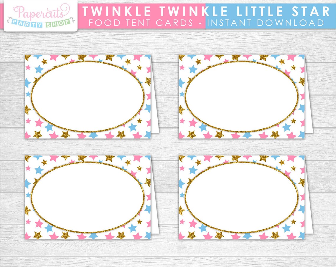 Twinkle Twinkle Little Star Large Party Package Pink Blue - Etsy