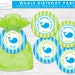 Whale Theme LARGE Birthday Party Package Blue & Green - Etsy