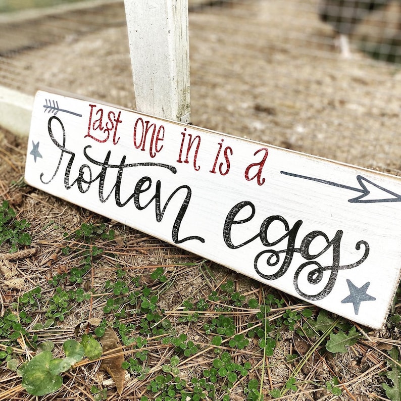 Last One in is a Rotten Egg Chicken Coop Sign Coop Sign - Etsy
