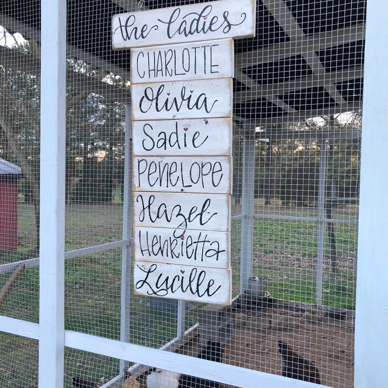 Chicken Signs - Etsy