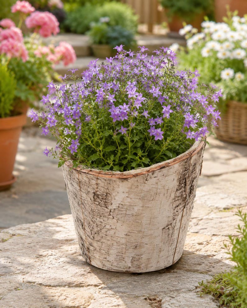 Pot de fleurs rond en écorce de bouleau rustique pour décoration ...