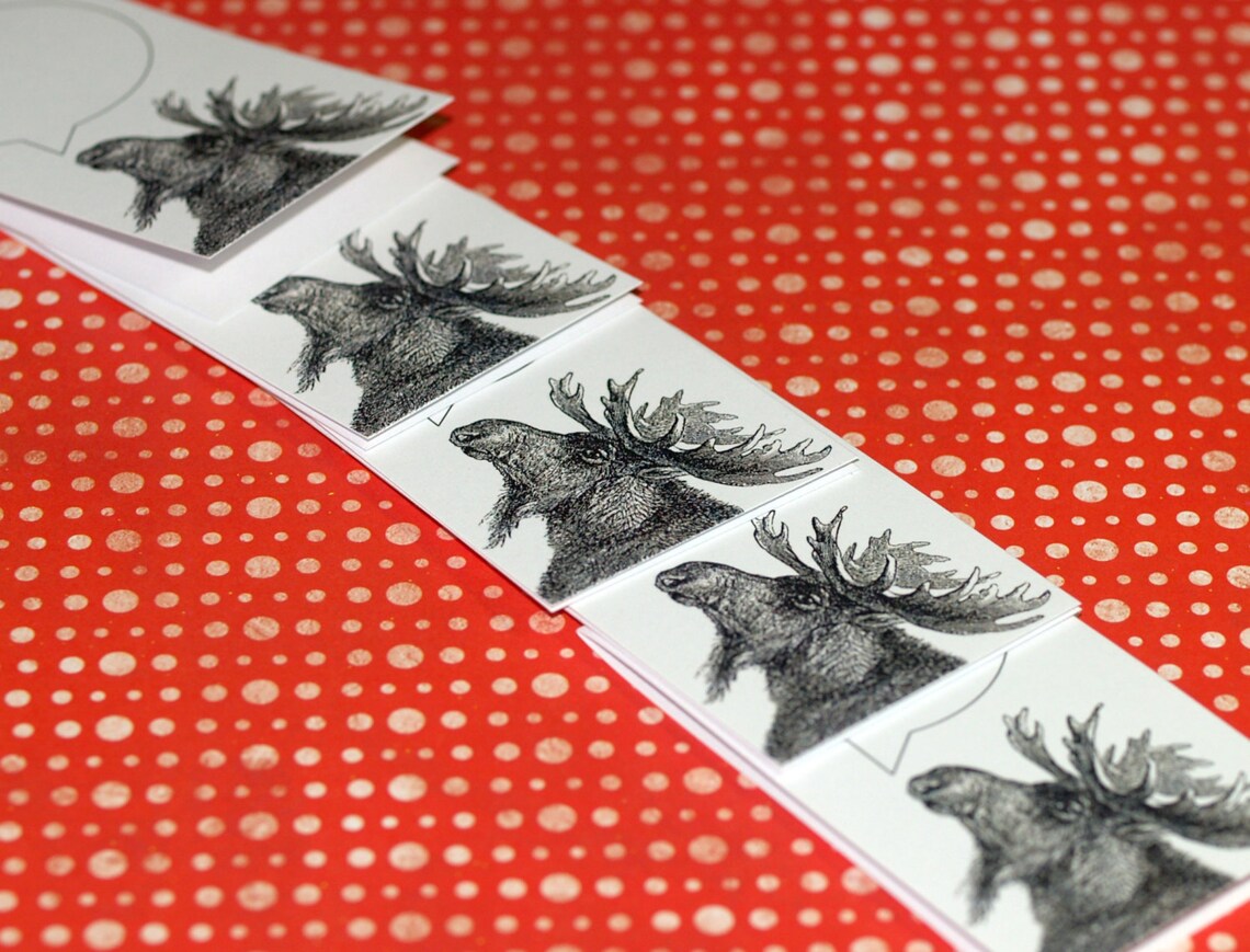 MOUTHY MOOSE . Mini Notecards Handmade Stationery Captioned - Etsy