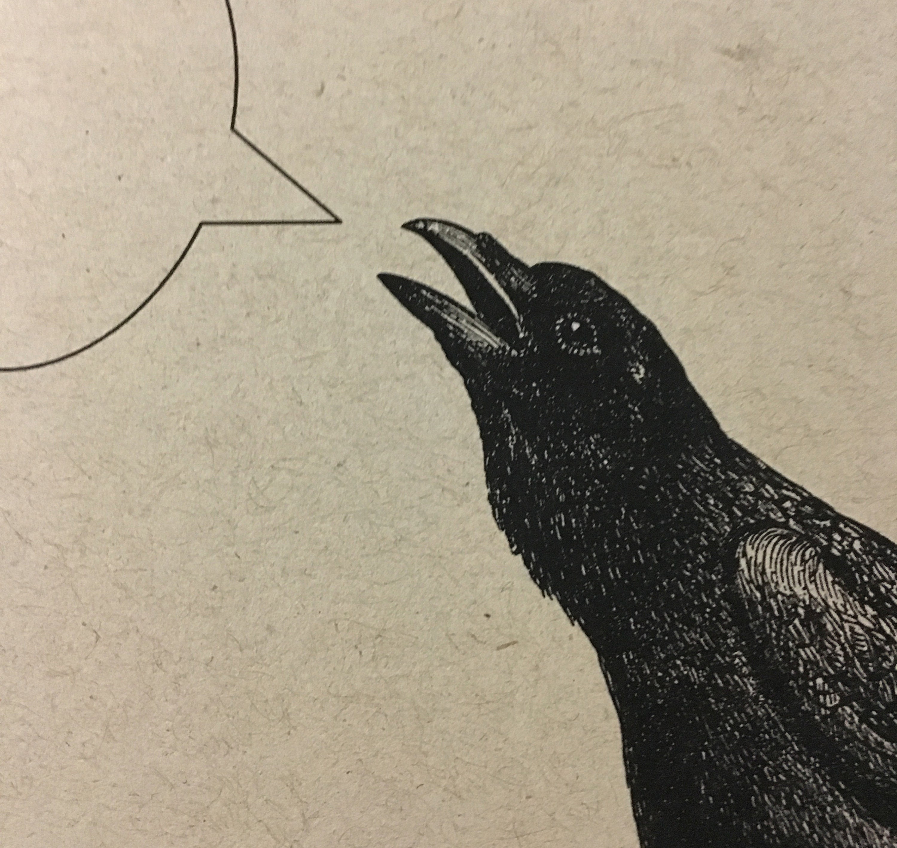 THE RAVENS . Set of 12 Postcards Kraft Cards 4.25 X 5.5 Post - Etsy