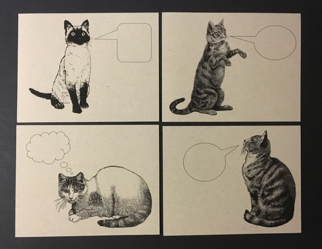 COOL CATS . Set of 12 Postcards Kraft Cards 4.25 X 5.5 Post - Etsy