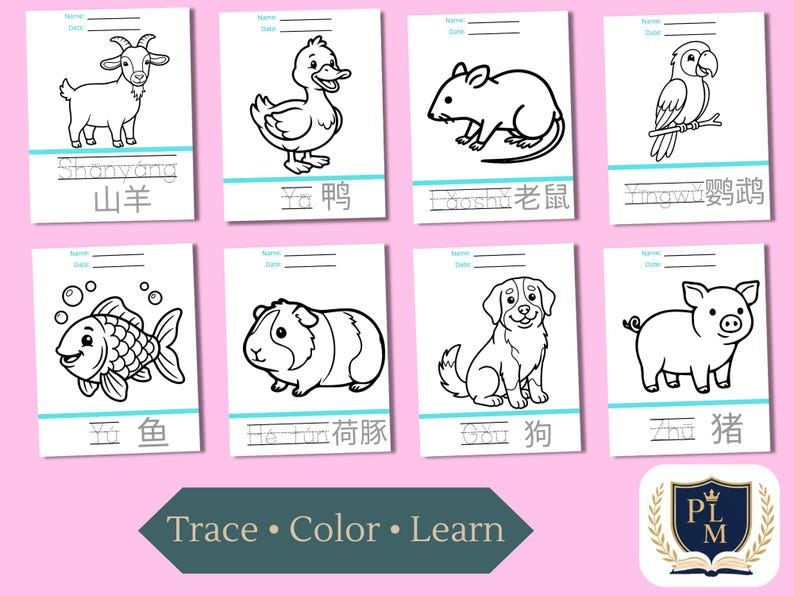 Pets Coloring Book | Learn Mandarin Chinese Vocabulary Workbook ...