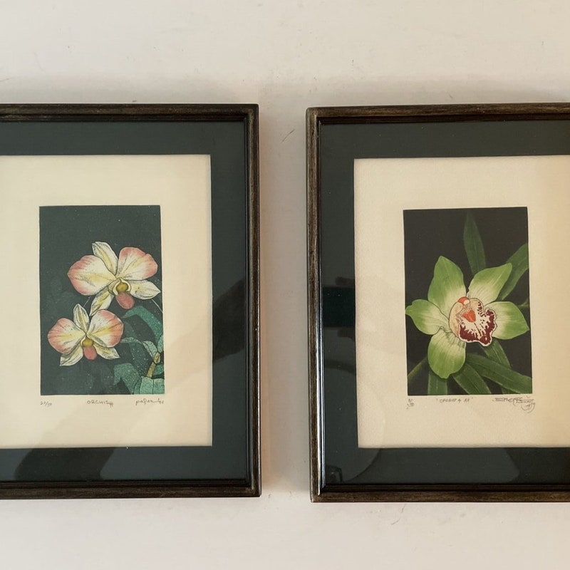 Hand Colored Etching - Etsy
