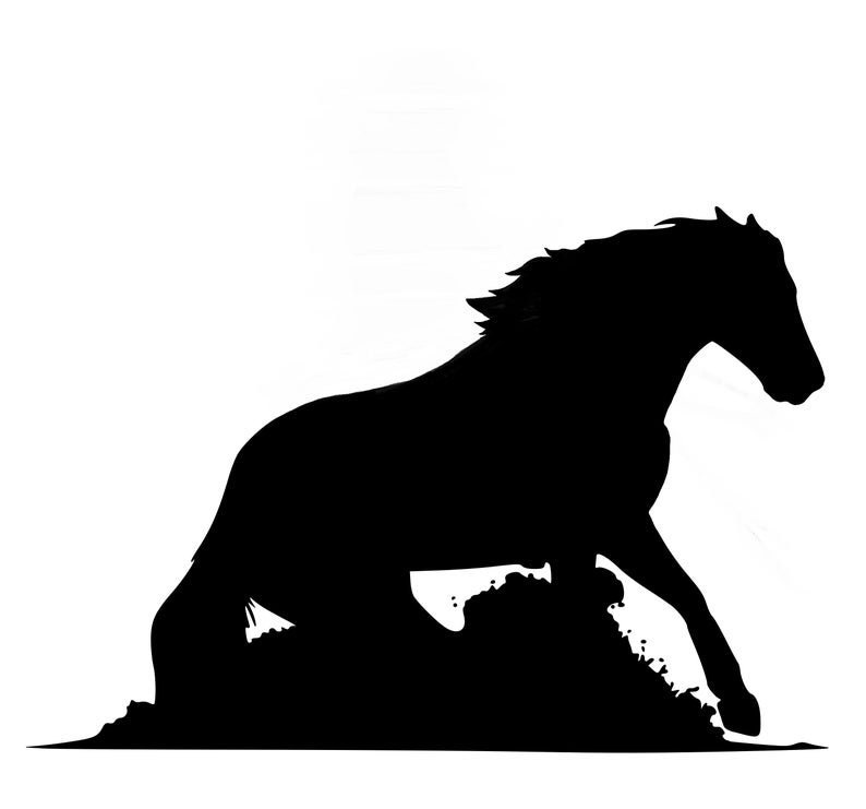 Reining Horse Vinyl Decal I FREE SHIPPING on Eligible Orders | Etsy