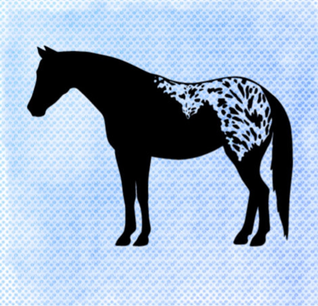 Appaloosa Horse Vinyl Decal I FREE SHIPPING on Eligible Orders I ...