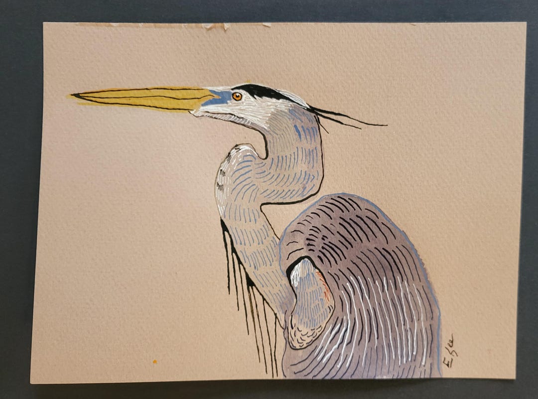 Great Blue Heron Ink Drawing Original on Paper - Etsy