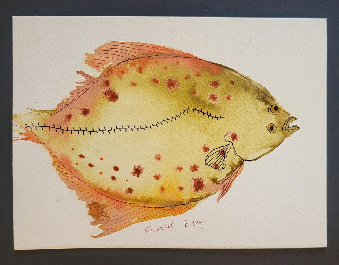 Flounder Original Ink Painting on Fabriano Cotton Watercolor Paper - Etsy