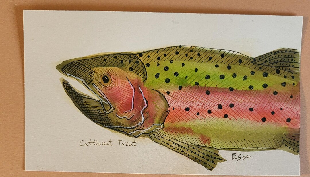 Cutthroat Trout Original Ink Painting - Etsy
