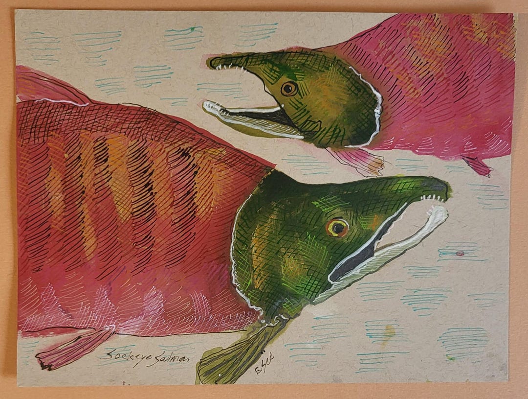 Sockey Salmon Ink and Watercolor Painting - Etsy