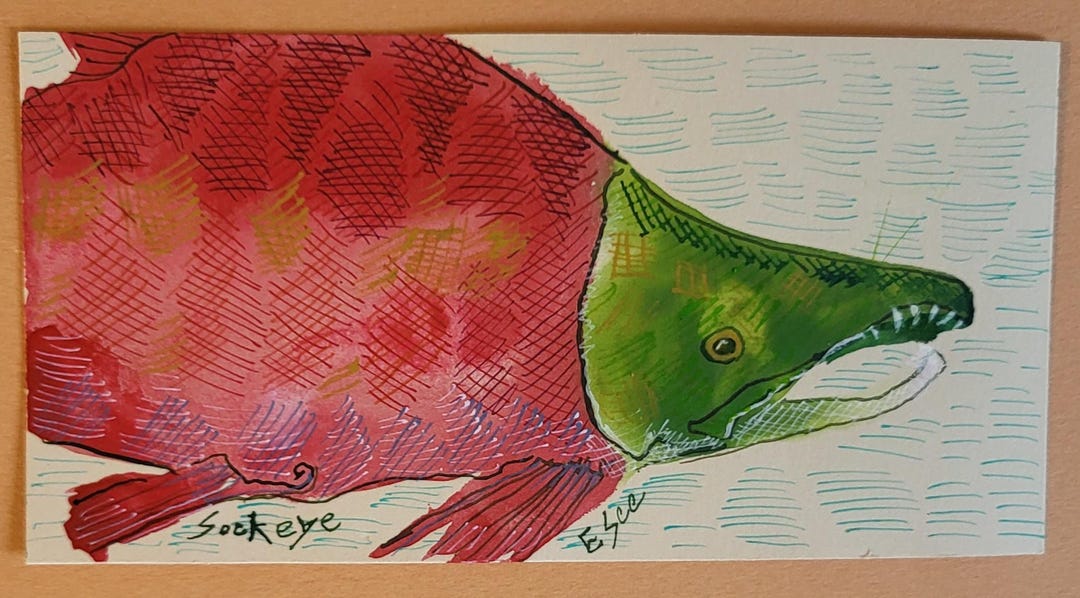Salmon Original Ink Painting - Etsy