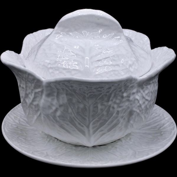 Cabbage Plates - 60+ Cabbage Plates for 2023