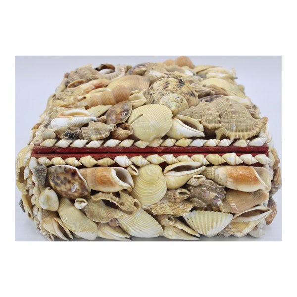 Seashell Jewelry Box - Etsy