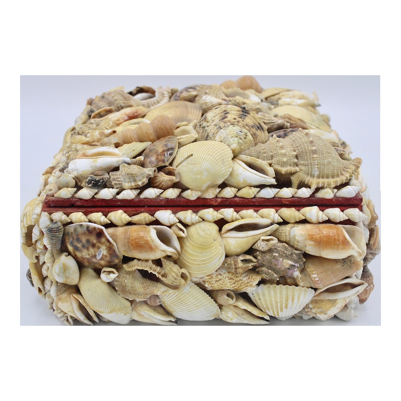 Seashell Jewelry Box - Etsy