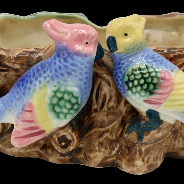 Ceramic Parrot - Etsy