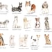 Dog Address Labels,multiple Breeds Available, Return Address Stickers ...