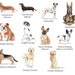 Dog Address Labels,multiple Breeds Available, Return Address Stickers ...