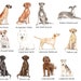 Dog Address Labels,multiple Breeds Available, Return Address Stickers ...