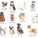 Dog Address Labels,multiple Breeds Available, Return Address Stickers ...