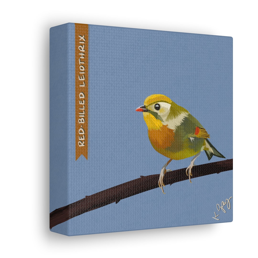 Red-billed Leiothrix Bird Lover Canvas Wall Art - Etsy