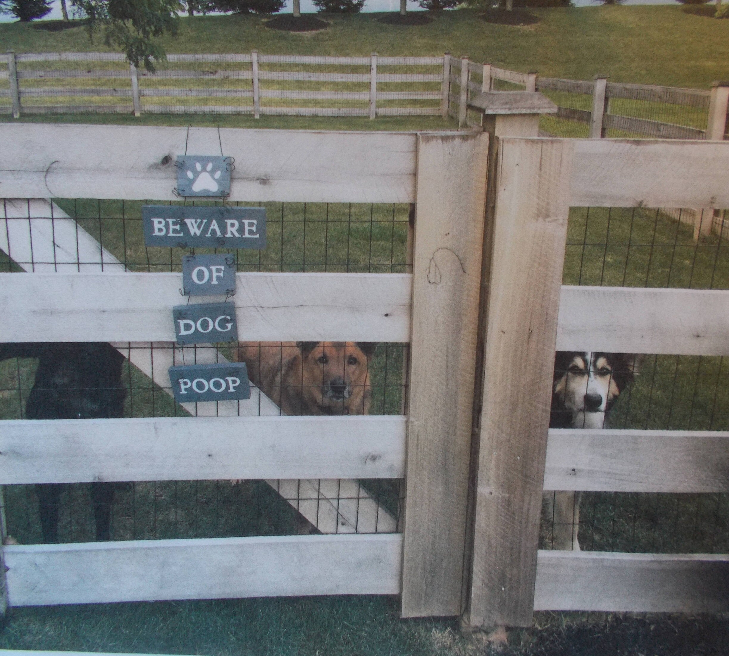 Beware of Dog Poop Sign Pet Decor Dog Sign Grey and White | Etsy