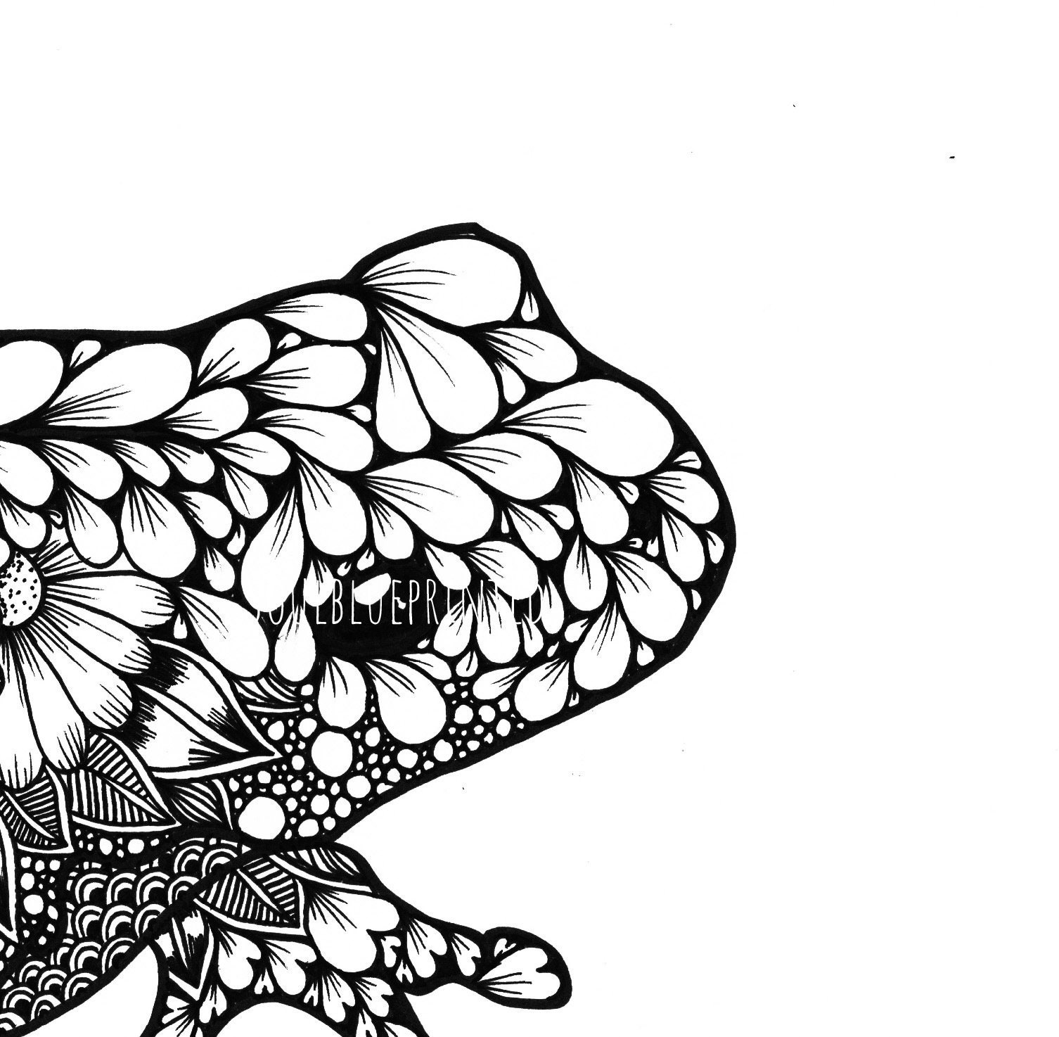 Frog Print Zentangle Frog Print Frog Wall Art Illustration Doodle Art ...