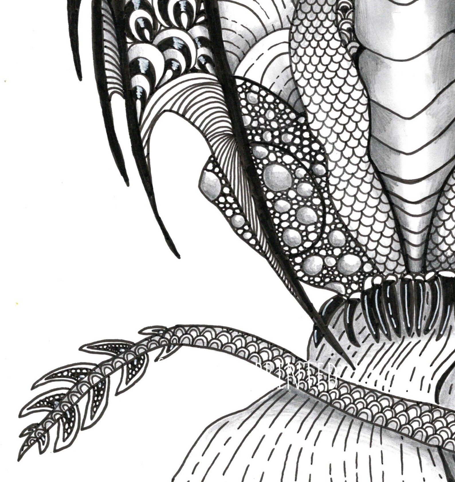 Dragon Zentangle Art Print Pen and Ink A4 Wall Art Doodle | Etsy