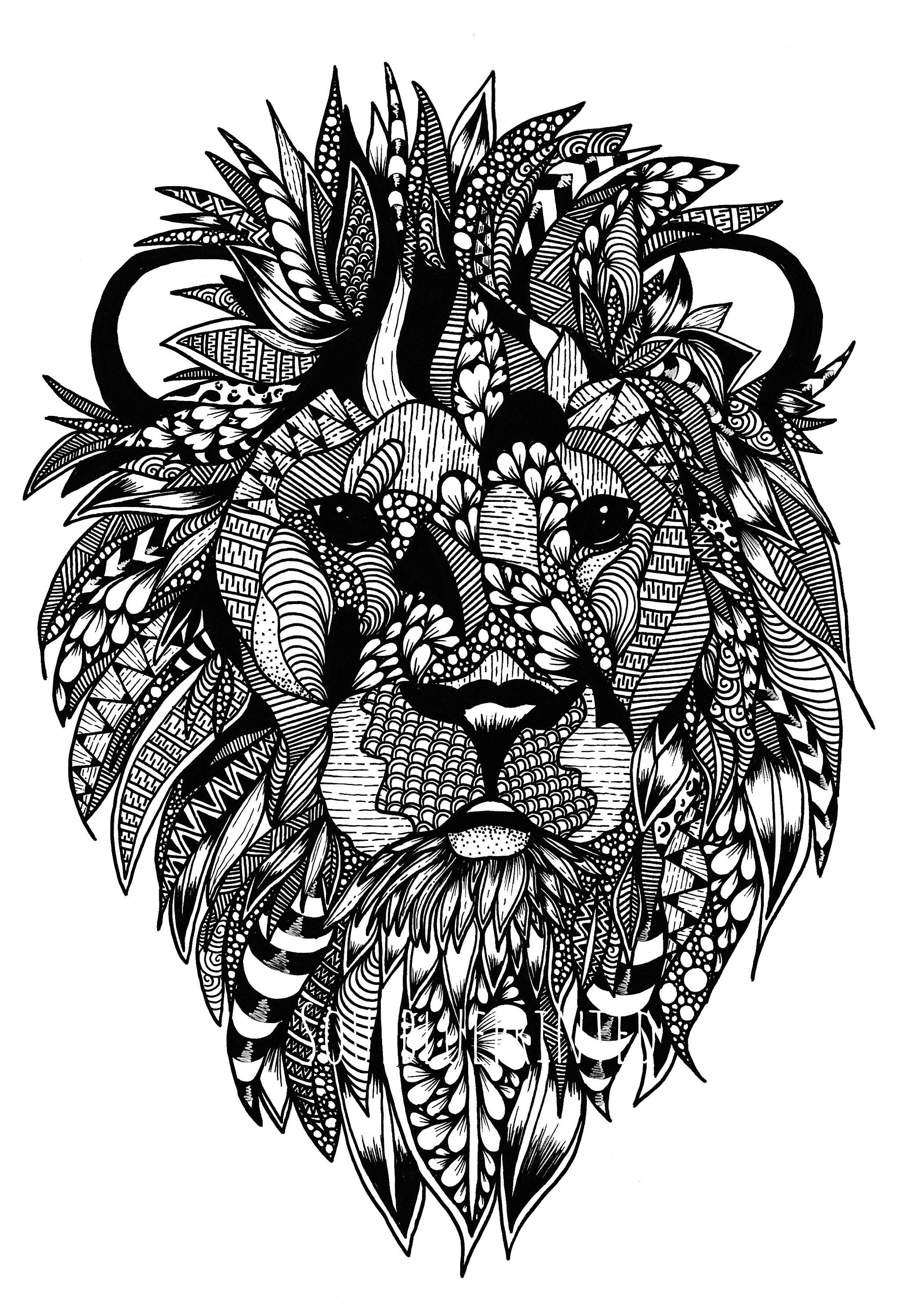 Lion Print Zentangle Lion Art Big Cat Print Pen and Ink Print Doodle ...